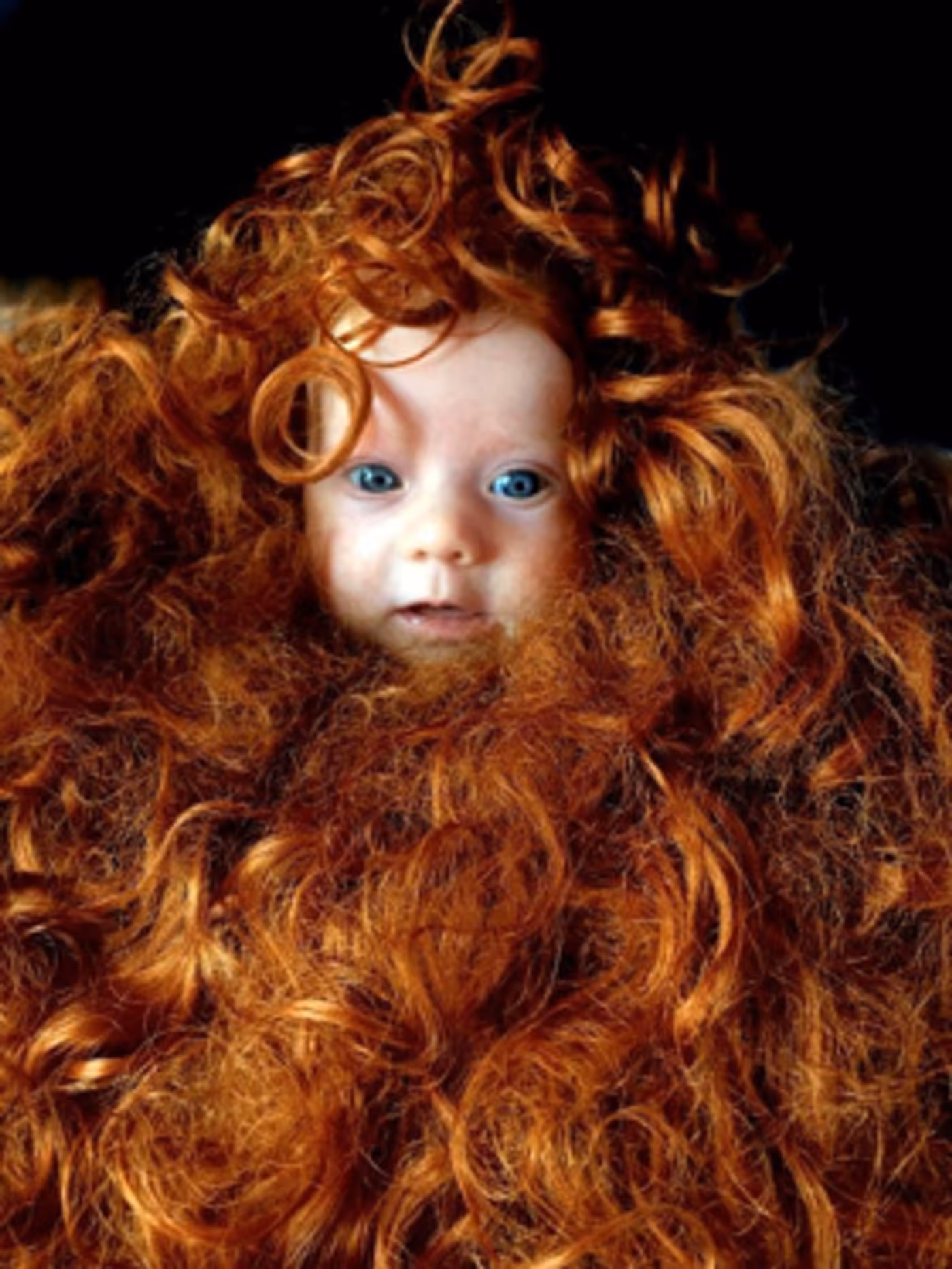 Toronto Fringe Favourites Return With New Show THE MERKIN SISTERS