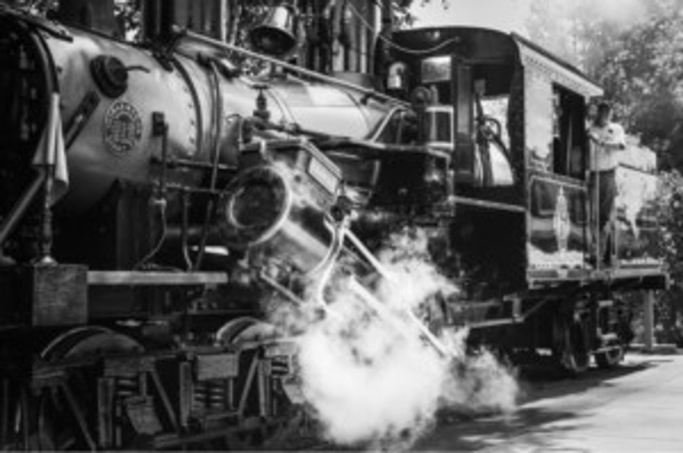 Thomas Slatin Finds Purpose In Photography