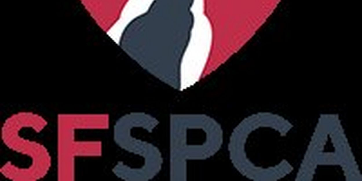 San Francisco SPCA Hosts HOPPY TAILS at Harmonic Brewing Next Month