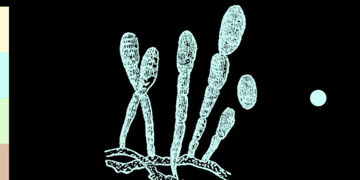 Aluna Shares Euphoric MAFRO Remix Of Route 94 Collab 'Underwater'