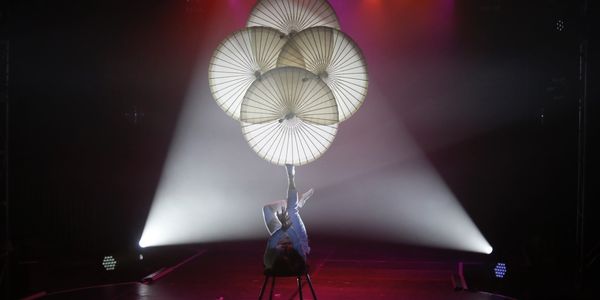 Booking Now Open For The Royal Countess Zingara's LA DOLCE ROYAL