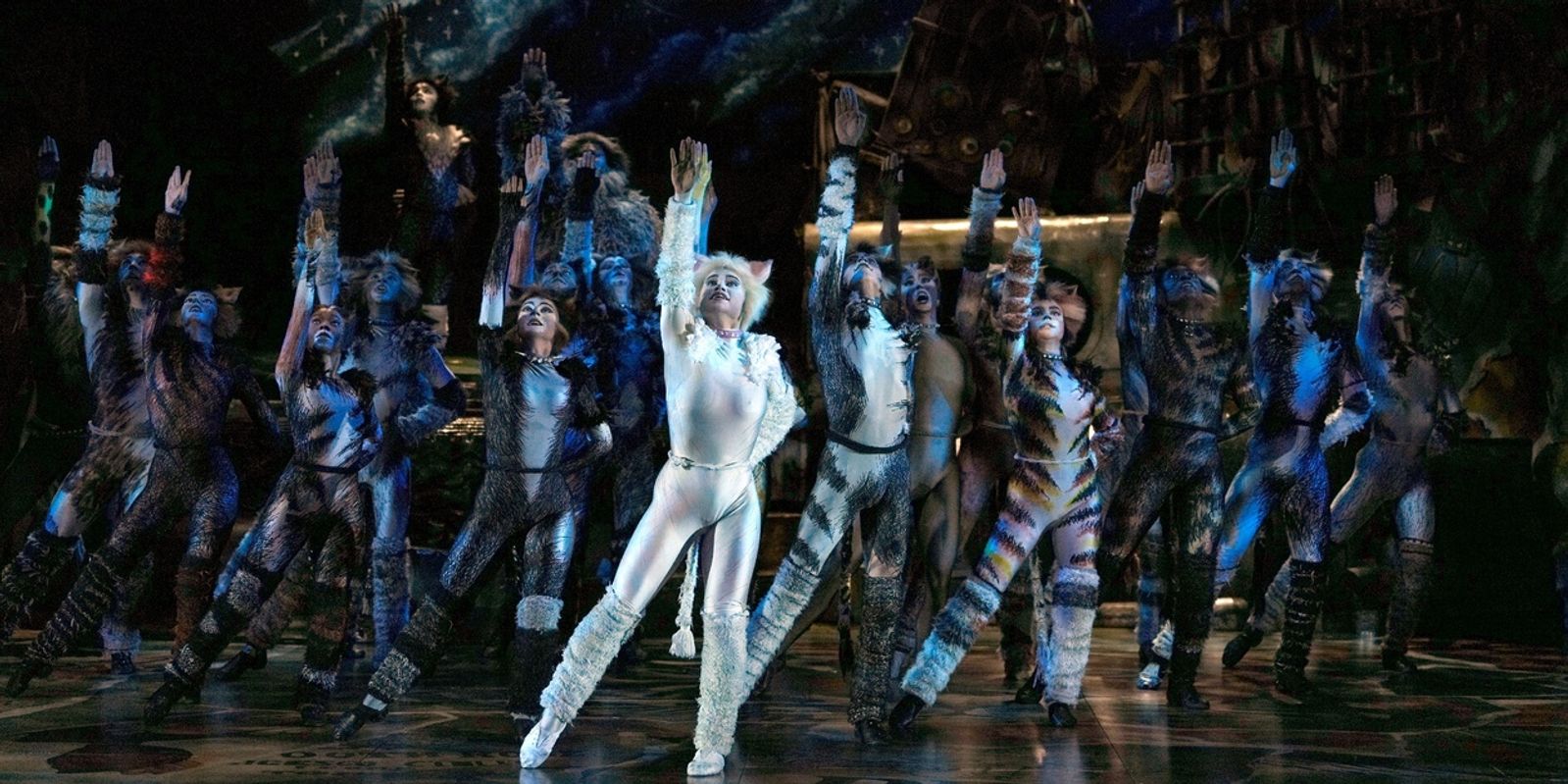 CATS Returns to Sands Theatre This October; Waitlist Now Open