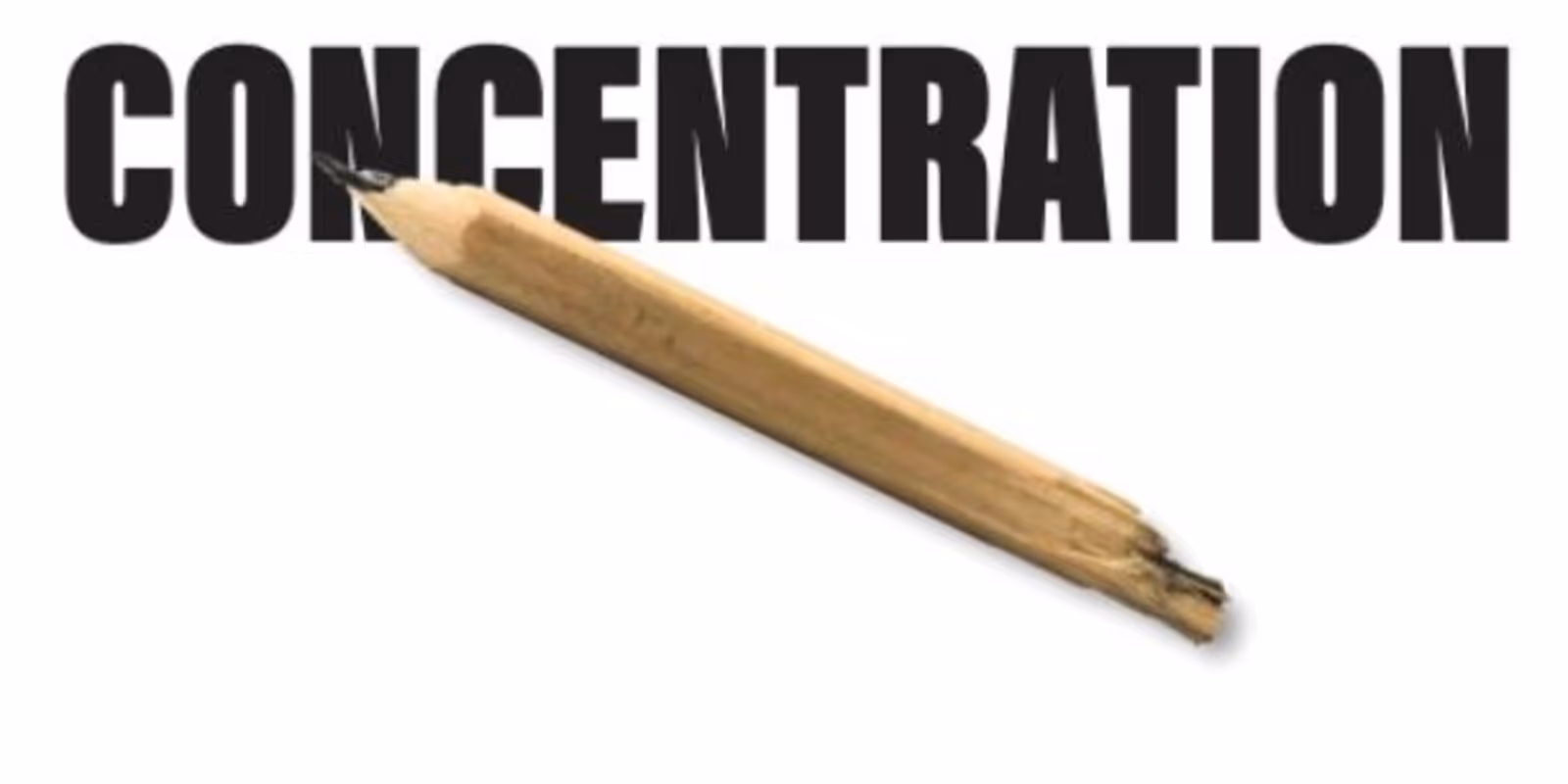 CONCENTRATION to be Presented at the Ruth Page Center for the Arts
