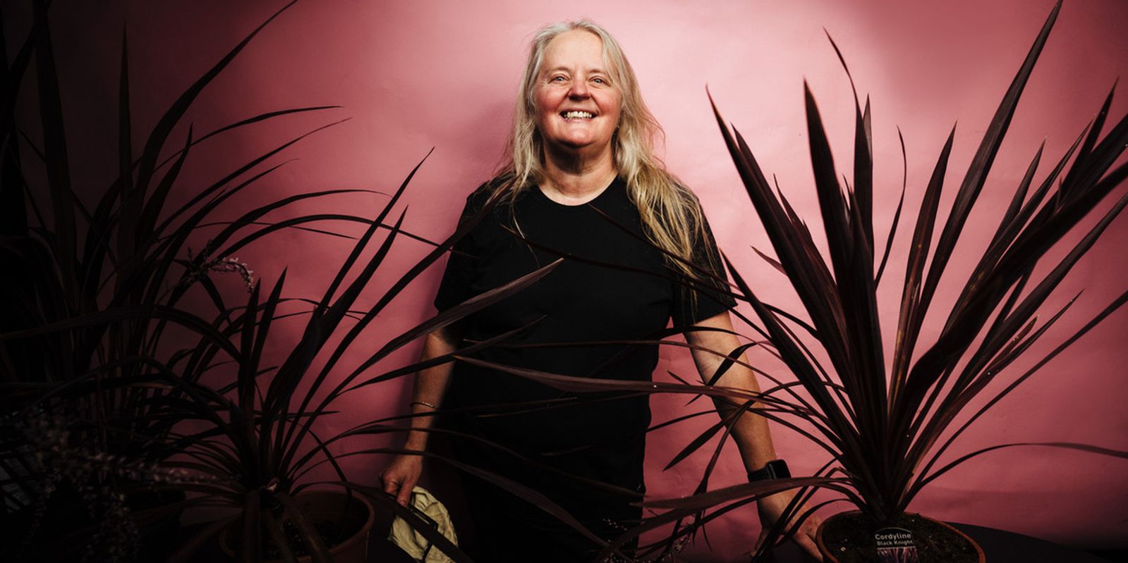 Theatre Works Executive Director, Dianne Toulson, Announces Planned Departure