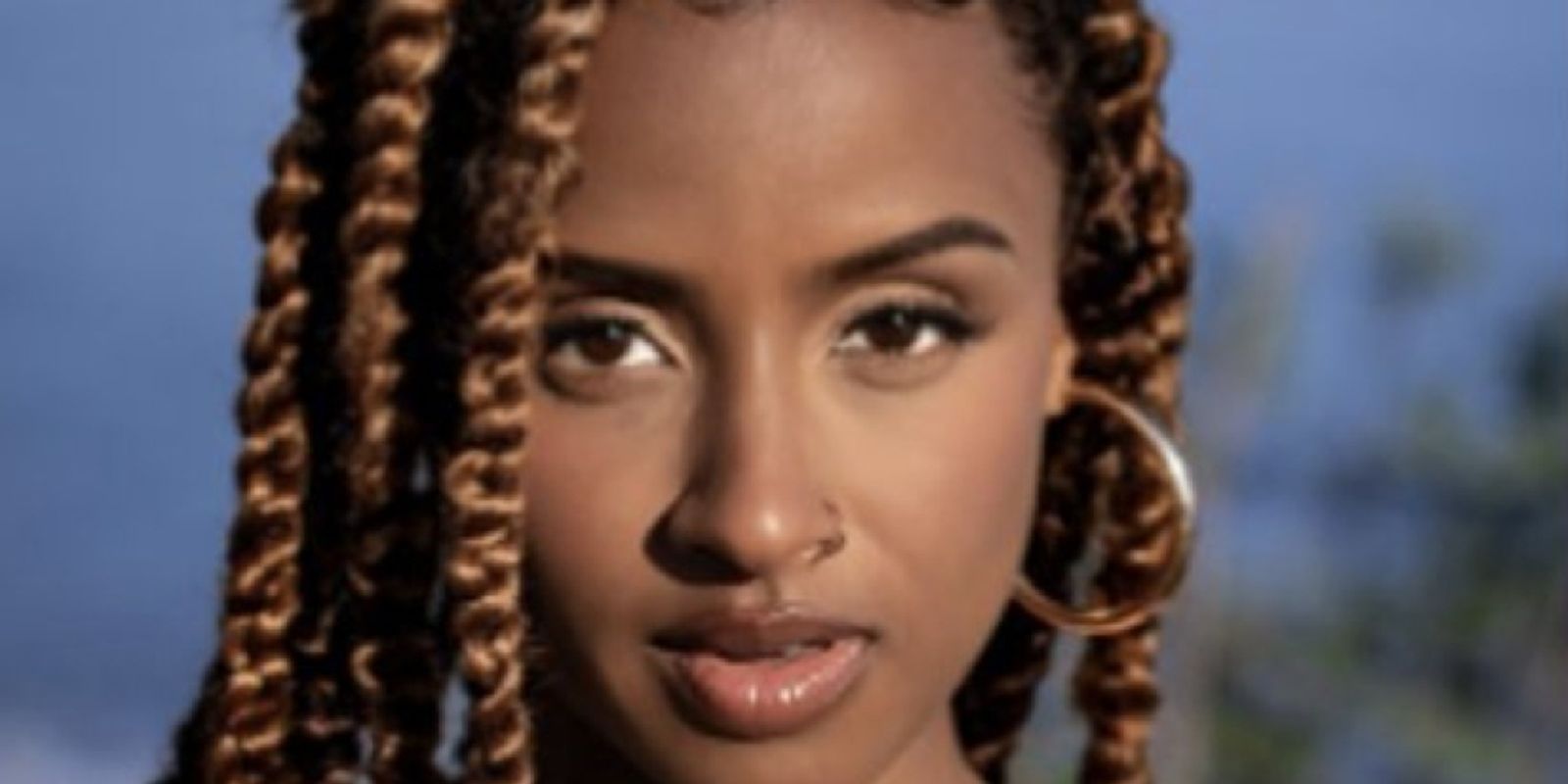 GINGER TWINSIES, A Parent Trap Parody, Sets Complete Cast