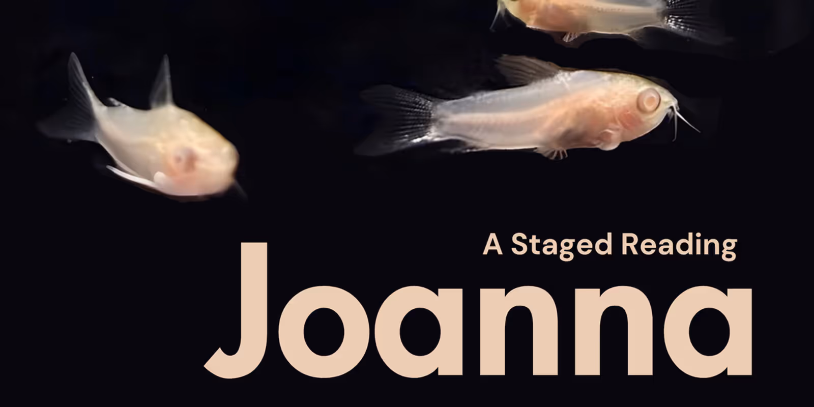 JOANNA to Receive World Premiere Staged Reading at The Tank
