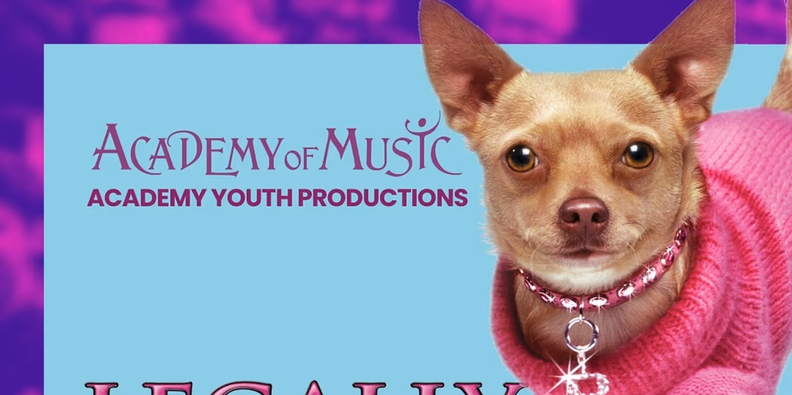 LEGALLY BLONDE, JR. Will Be Performed By Academy Youth Productions