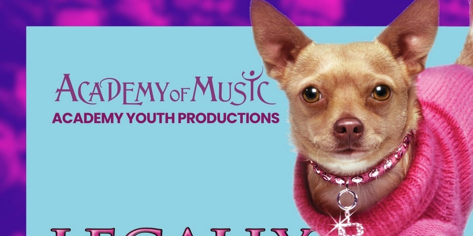 LEGALLY BLONDE, JR. Will Be Performed By Academy Youth Productions