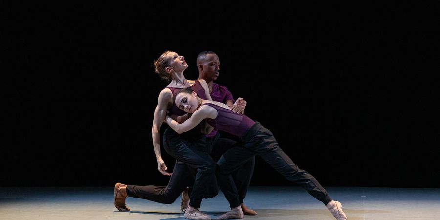 Lydia Johnson Dance Reveals Spring Season Set For June