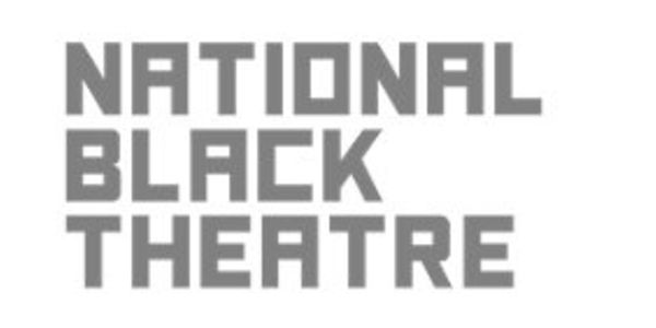 National Black Theatre Will Present Sarah Jones, Amy Sherald Stage ...