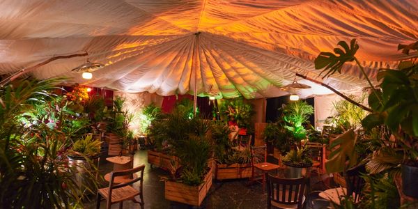 Oily Cart Announces New Nature-Inspired Sensory Theatre Adventures