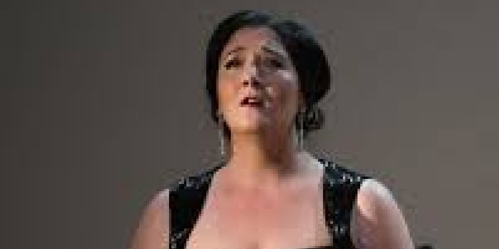 Opera At The 222 Will Present CERVANTES TO CRAIGSLIST