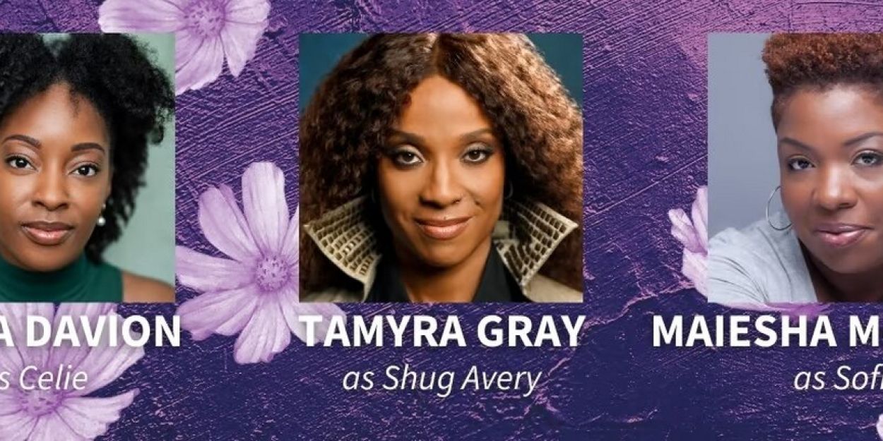 Pittsburgh CLO Announces Casting for THE COLOR PURPLE Beginning This ...