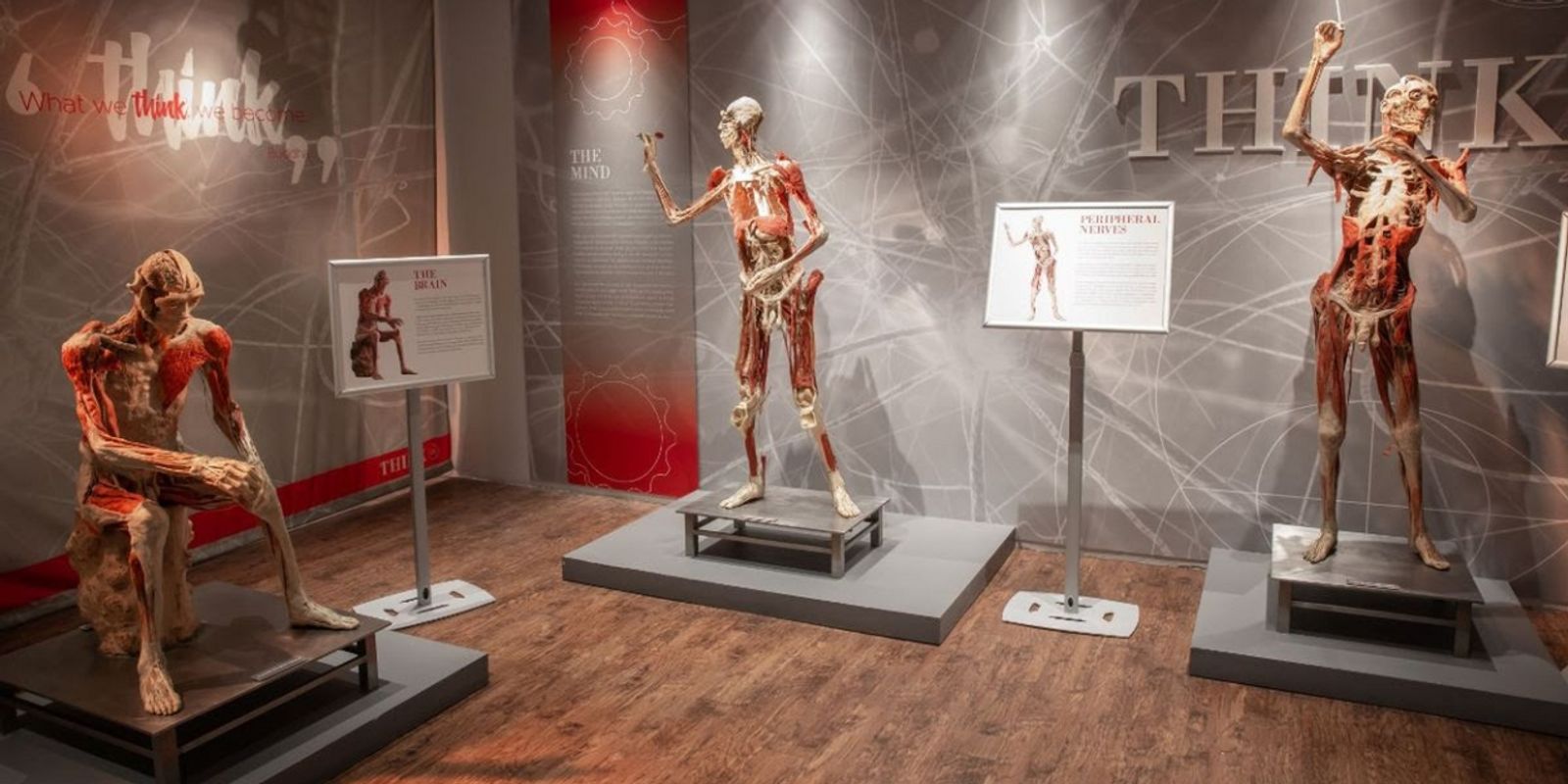 REAL BODIES Renews With Horseshoe Las Vegas For Another Five Years