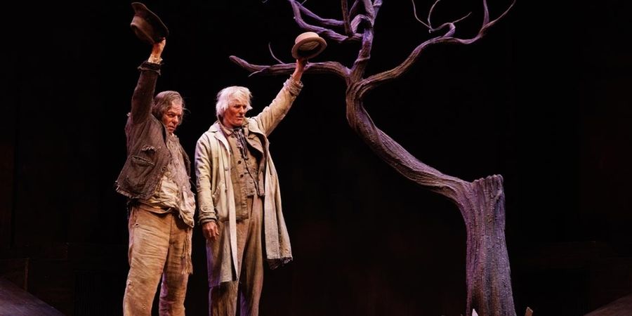 Review: McCamus and Gross are Excellent in Stratford's WAITING FOR GODOT