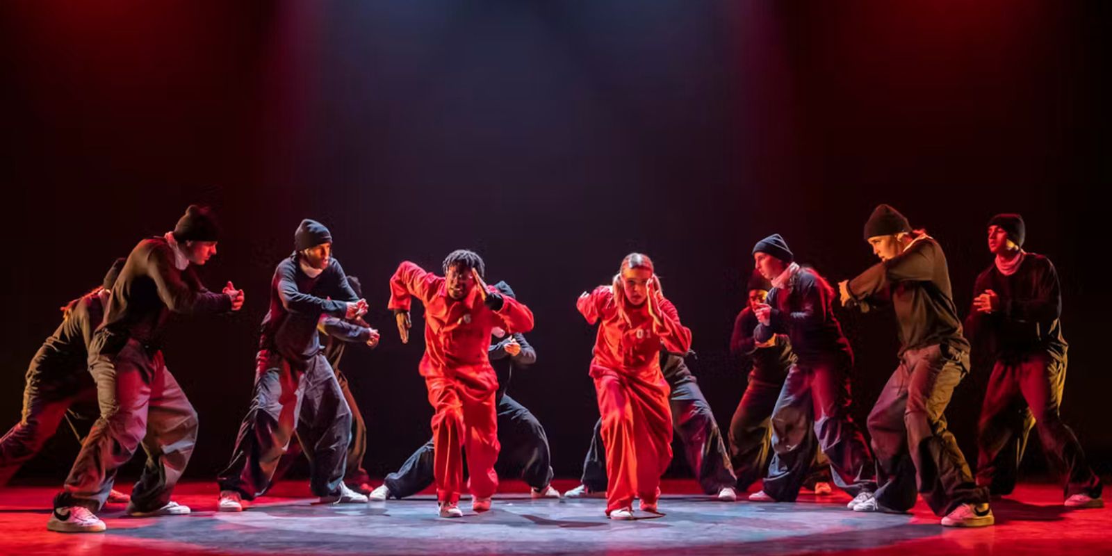 Review: ZOONATION YOUTH COMPANY, Royal Ballet And Opera