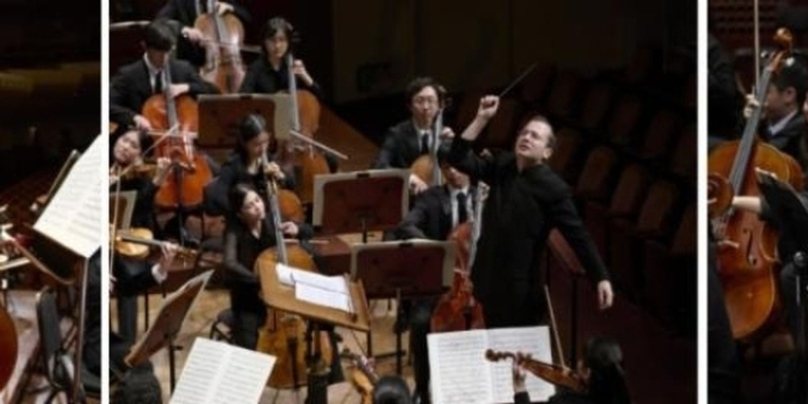 SF Symphony Youth Orchestra and Wattis Foundation Music Director Radu ...