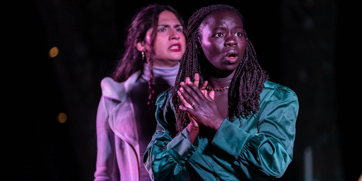 LEAR and MERRY WIVES Set for Shakespeare in the Woods 2026 Season
