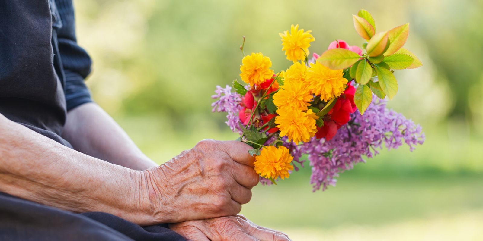 Stories on Stage to Present LATE BLOOMERS