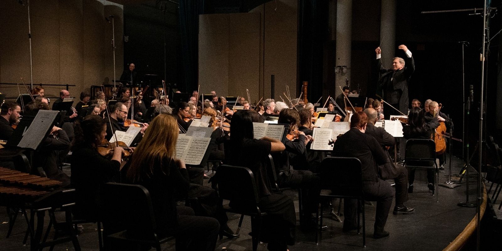 Vancouver Symphony Orchestra USA to Showcase American Classics in February