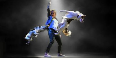 WICKED Composer Stephen Schwartz and More Set for New Family Series At ...