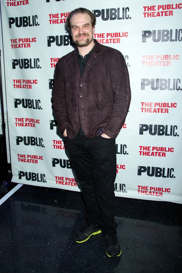 David Harbour (Actor): Credits, Bio, News & More | Broadway World